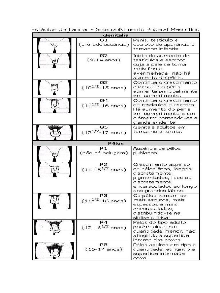 Estagio de Tanner | PDF
