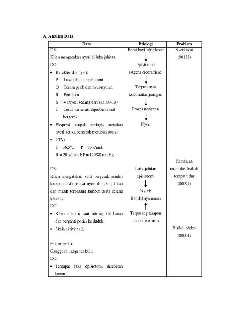 Analisa Data Post Partum | PDF