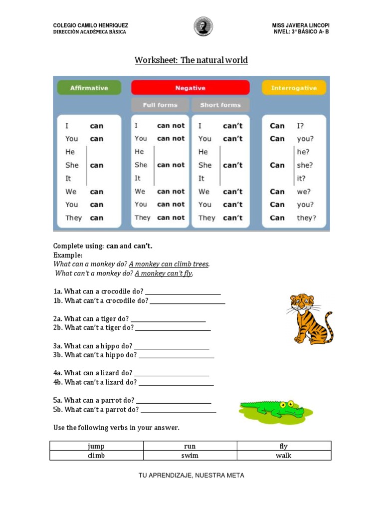 Natural World Worksheet: Animals Can and Can't | PDF | Syntax ...