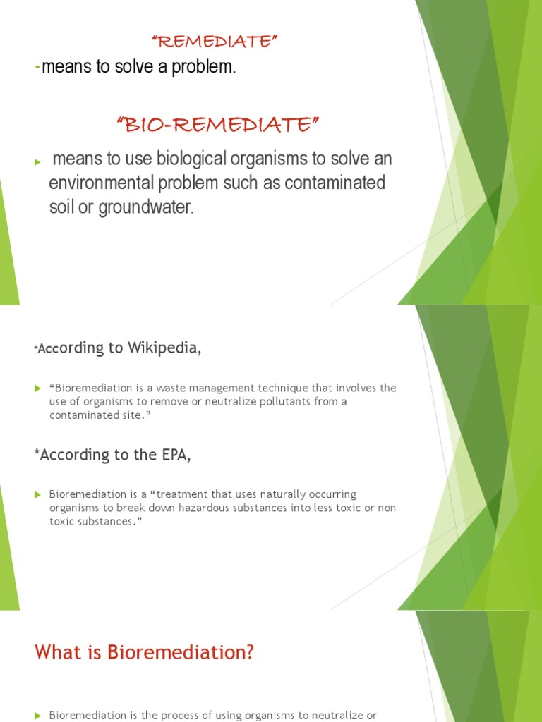 An In-Depth Look at Bioremediation: Understanding its Process ...