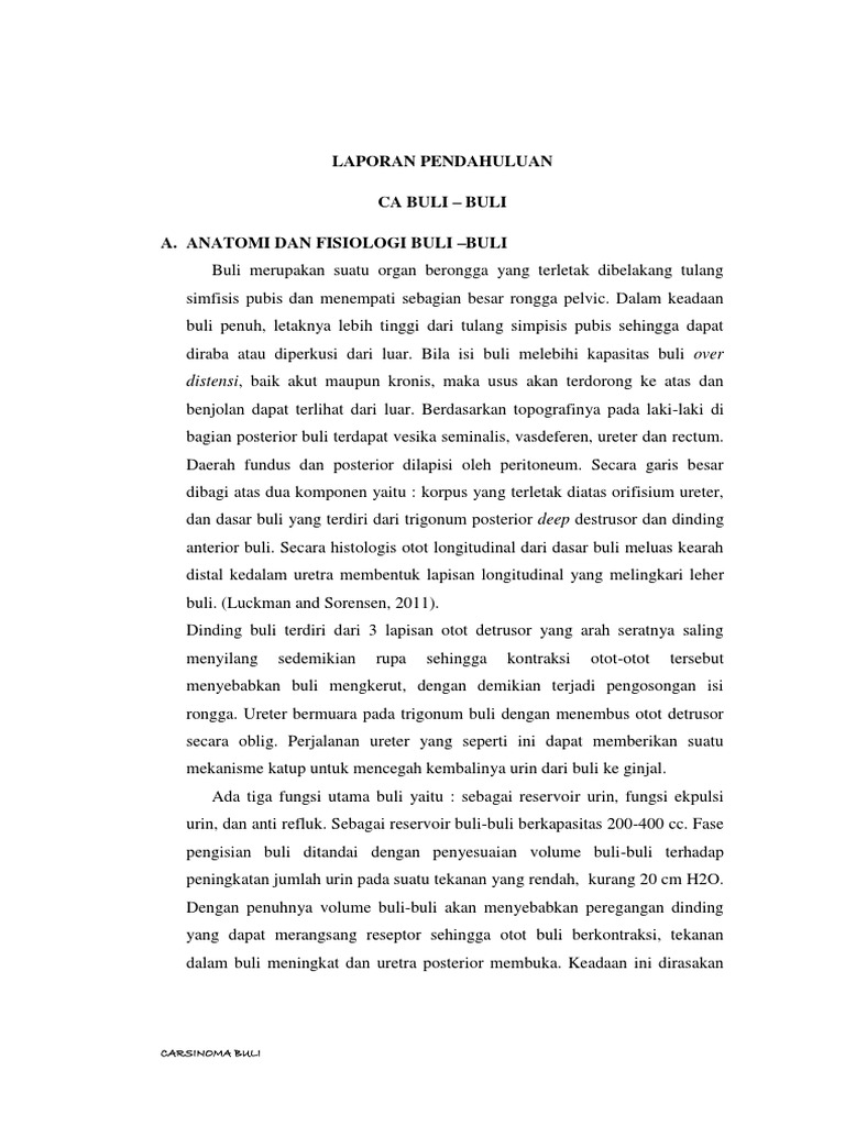 Laporan Pendahuluan CA Buli-Buli | PDF