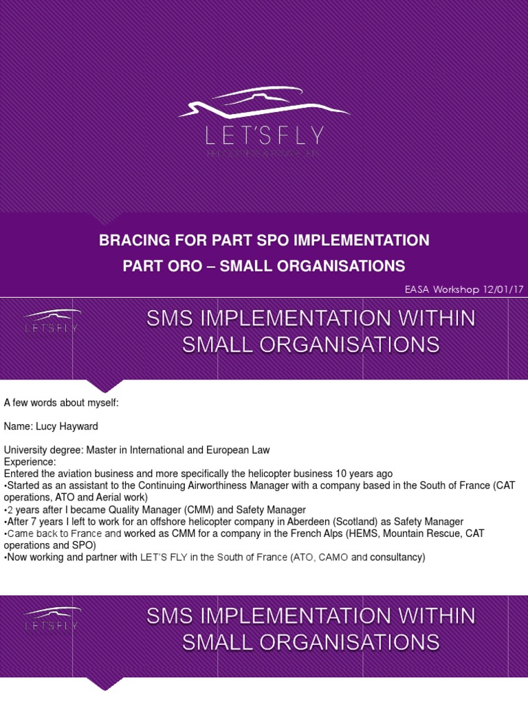 SPO Small Organisations | PDF | Risk Management | Risk Assessment