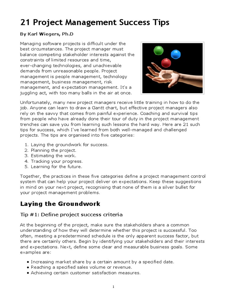 21 Project Management Success Tips | PDF | Project Management | Risk