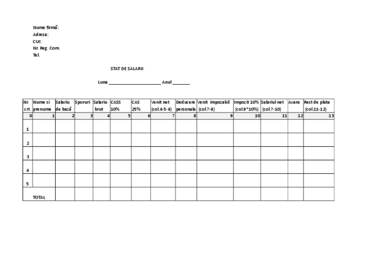 Registru Salarii | PDF