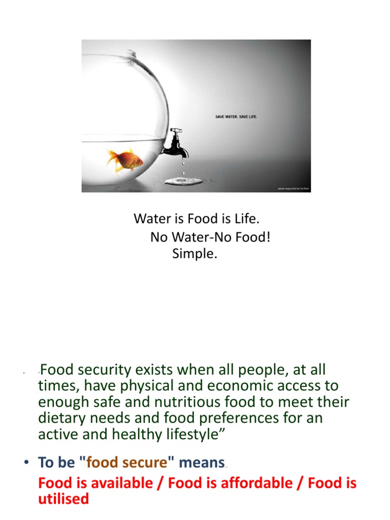 Water Is Food Is Life | PDF | Hydroponics | Agriculture