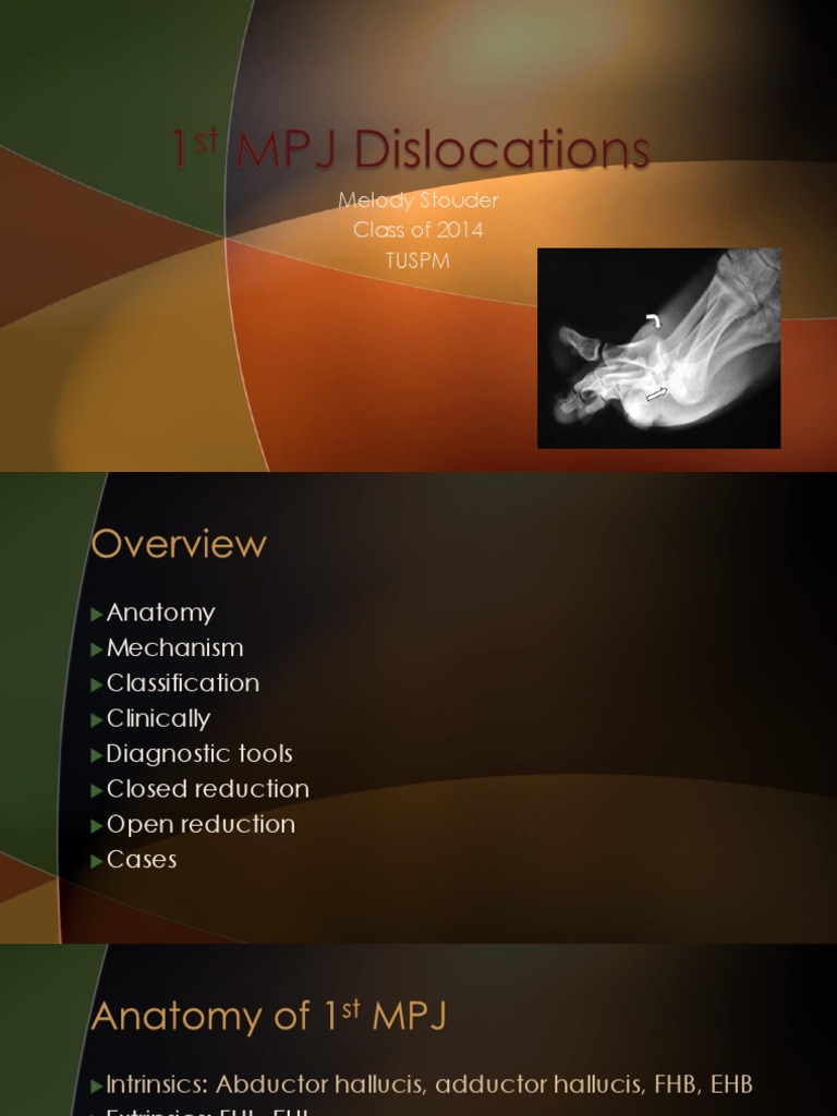 Melody Stouder Class of 2014 Tuspm | PDF | Foot | Ankle