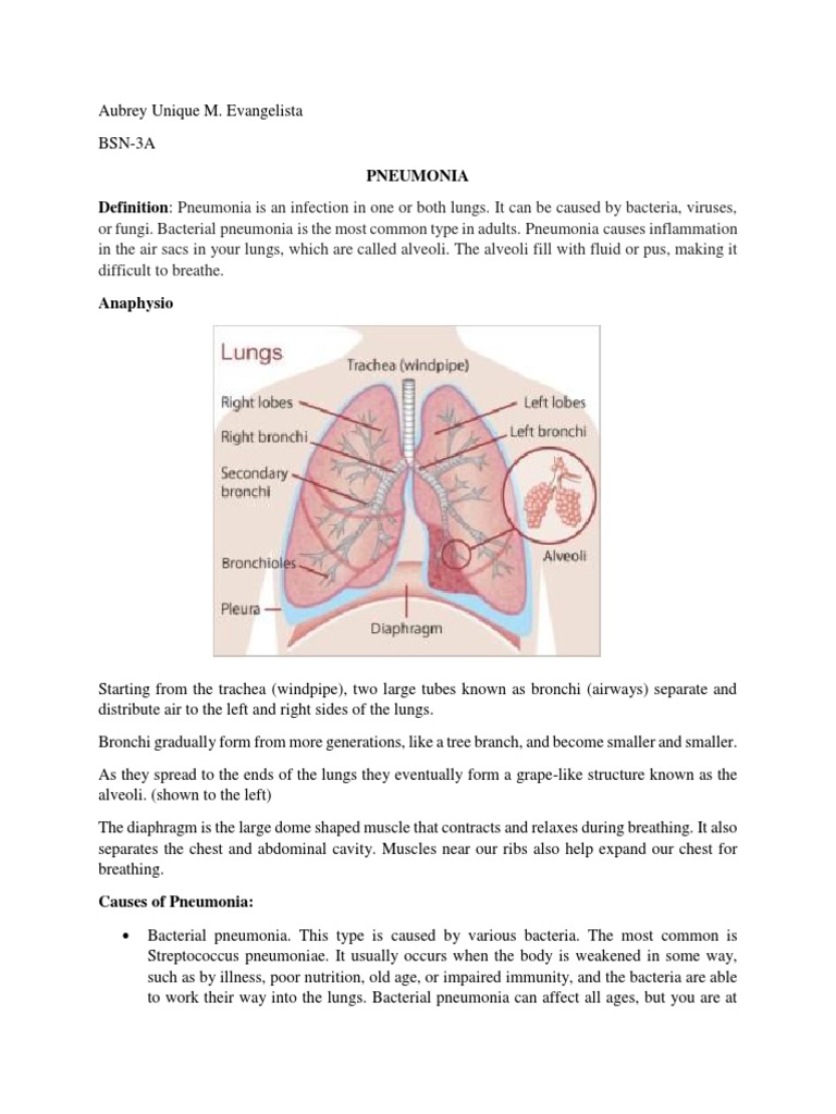 Pneumonia Definition | PDF | Pneumonia | Lung