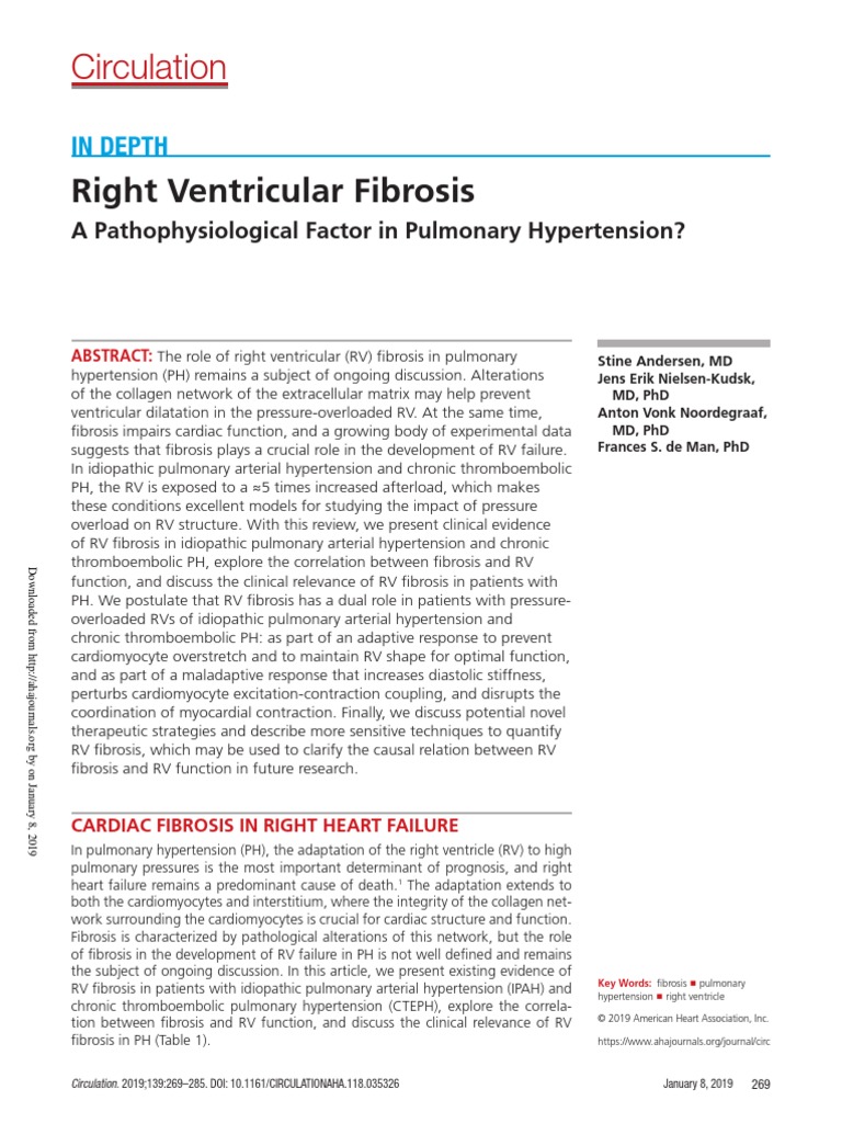 Right Ventricular Fibrosis: Circulation | PDF | Cardiac Muscle | Diastole