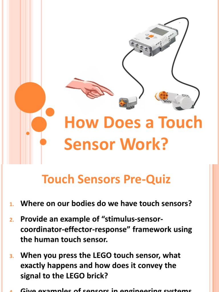 Touch Sensor Project | PDF | Somatosensory System | Brain