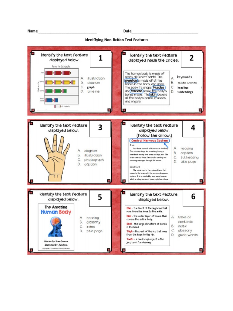 Identifying Nonfiction Text Features | PDF