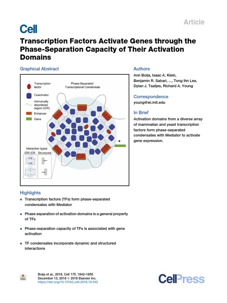 Transcription Factors Activate Genes Through The Phase-Separation ...