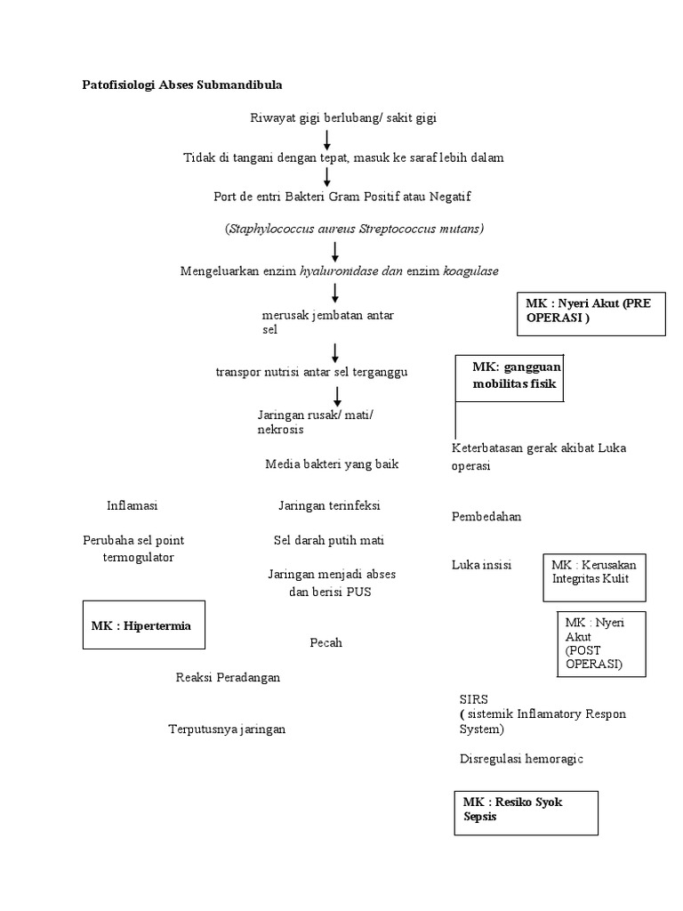 Pathway Abses Submandibula | PDF