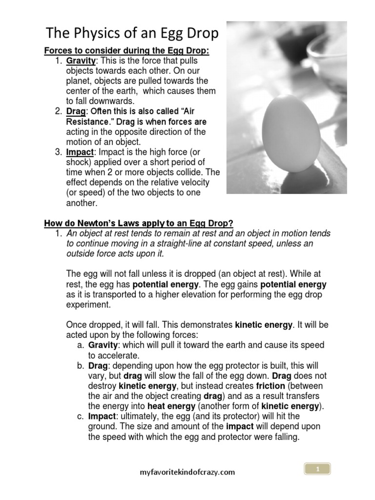 Science of The Egg Drop1 | PDF | Drag (Physics) | Force