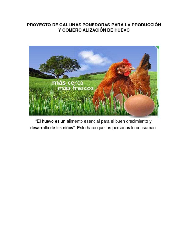 Proyecto De Gallinas Ponedoras Para La Producción Y Comercialización De Huevo | Pollo | Aves