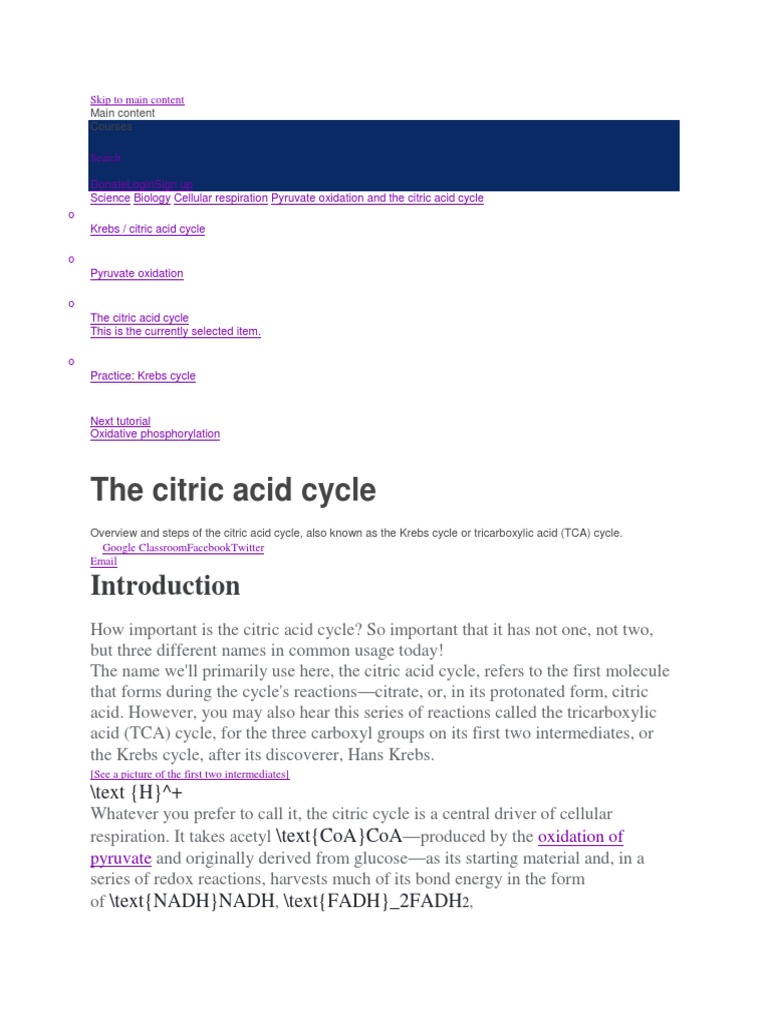 Citric Acid Cycle | PDF | Citric Acid Cycle | Diet & Nutrition
