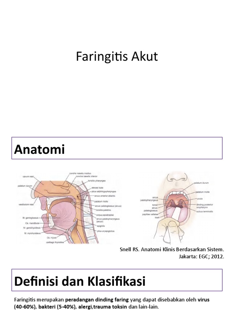 Anel FARINGITIS AKUT | PDF