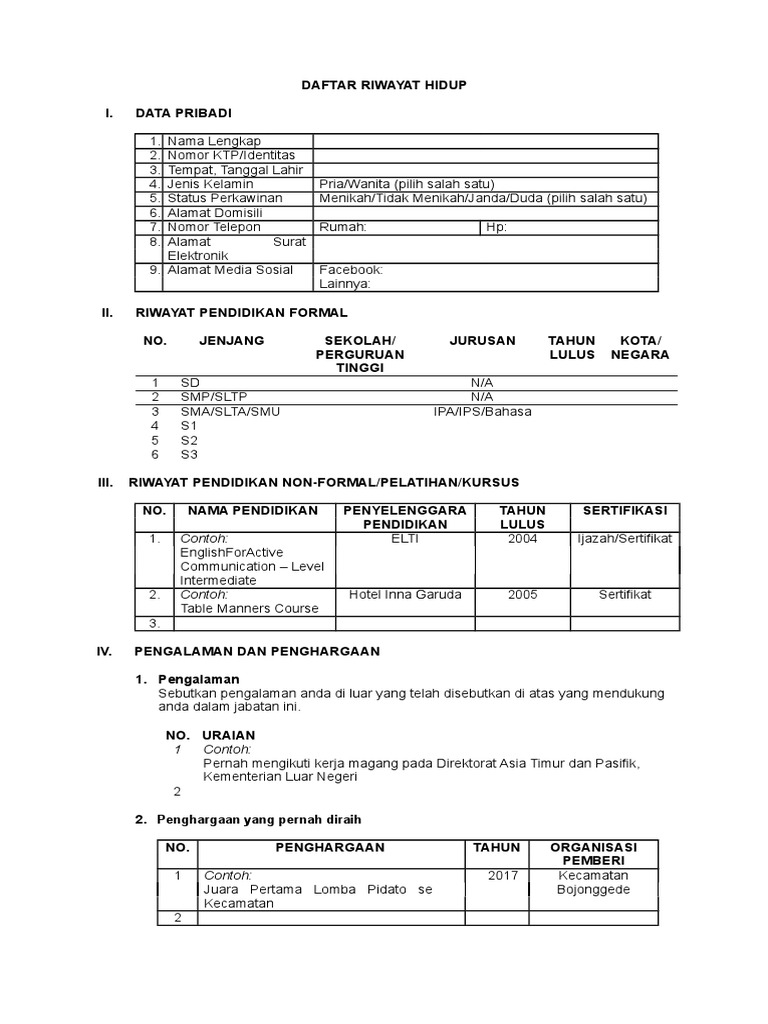 Contoh Daftar Riwayat Hidup PNS | PDF