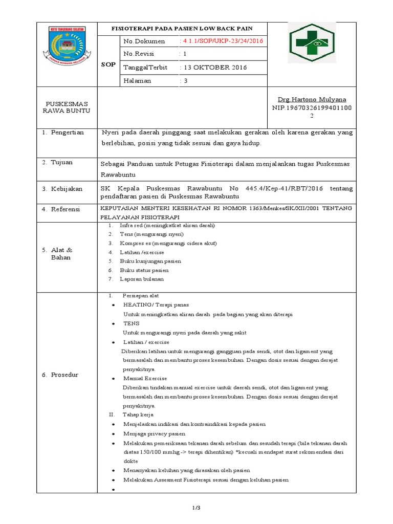 Sop Low Back Pain | PDF