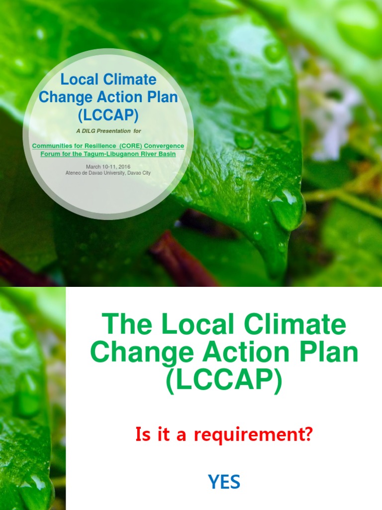 CORE LCCAP Presentation DILG-Elmo Dimaano | PDF | Emergency Management ...