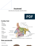 Akral - PENGERTIAN | PDF