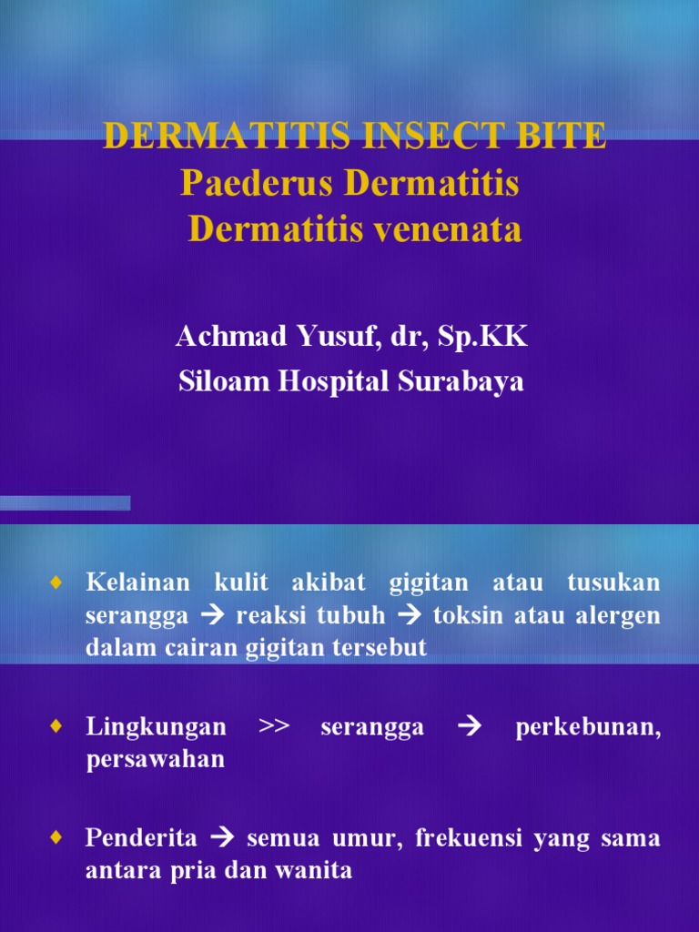 Dermatitis Insect Bite | PDF