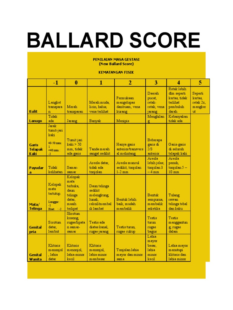 Ballard Score | PDF