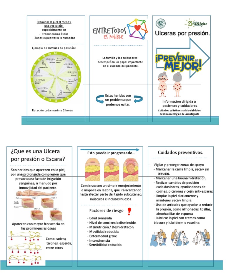 Triptico UPP | PDF | Hueso | Piel