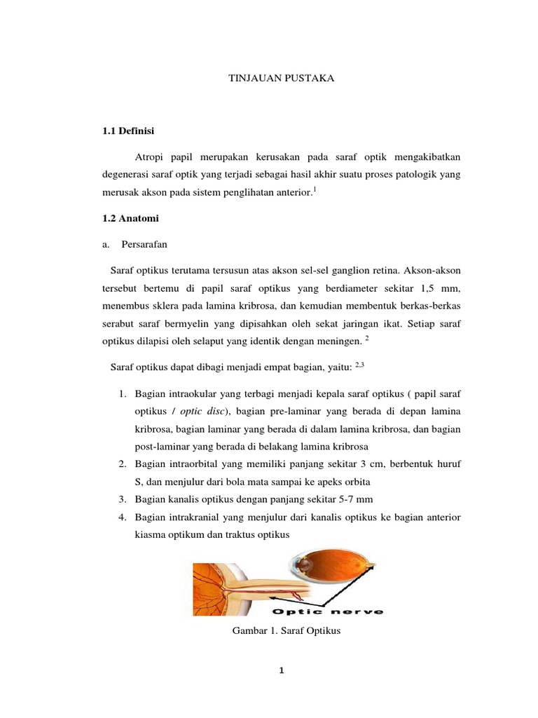 Css Atropi Papil | PDF