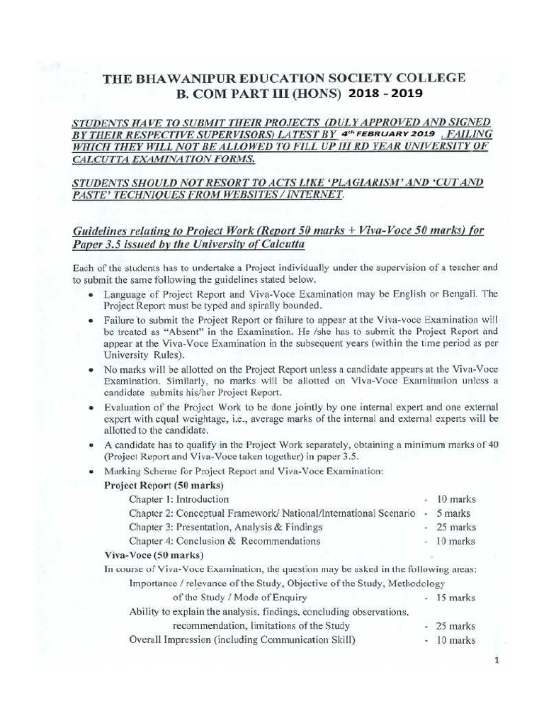 EDP Project 2019 Guidelines CU BCOM | PDF