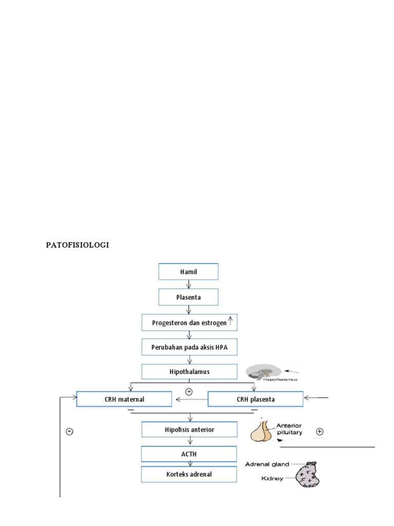 Pathway Depresi Postpartum | PDF