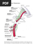 Mnemonics for Skeleton & Muscles | PDF | Human Leg | Foot