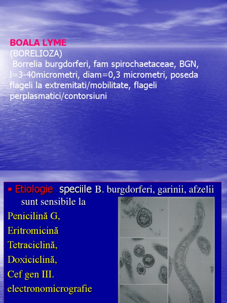 BOALA LYME (Borelioza) | PDF