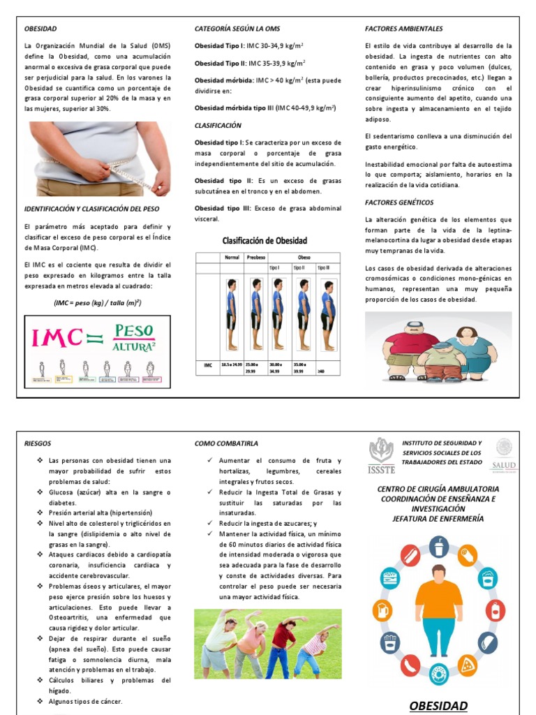 Triptico - Obesidad | Tejido adiposo | Obesidad