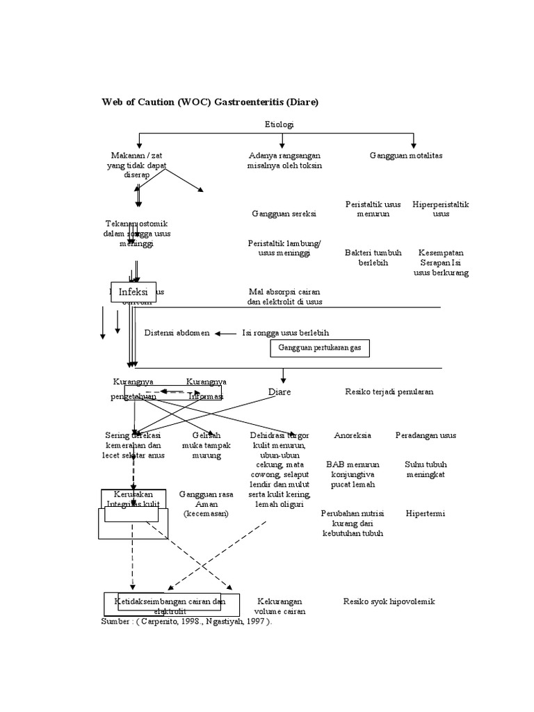 Woc Diare | PDF | Kesehatan Holistik