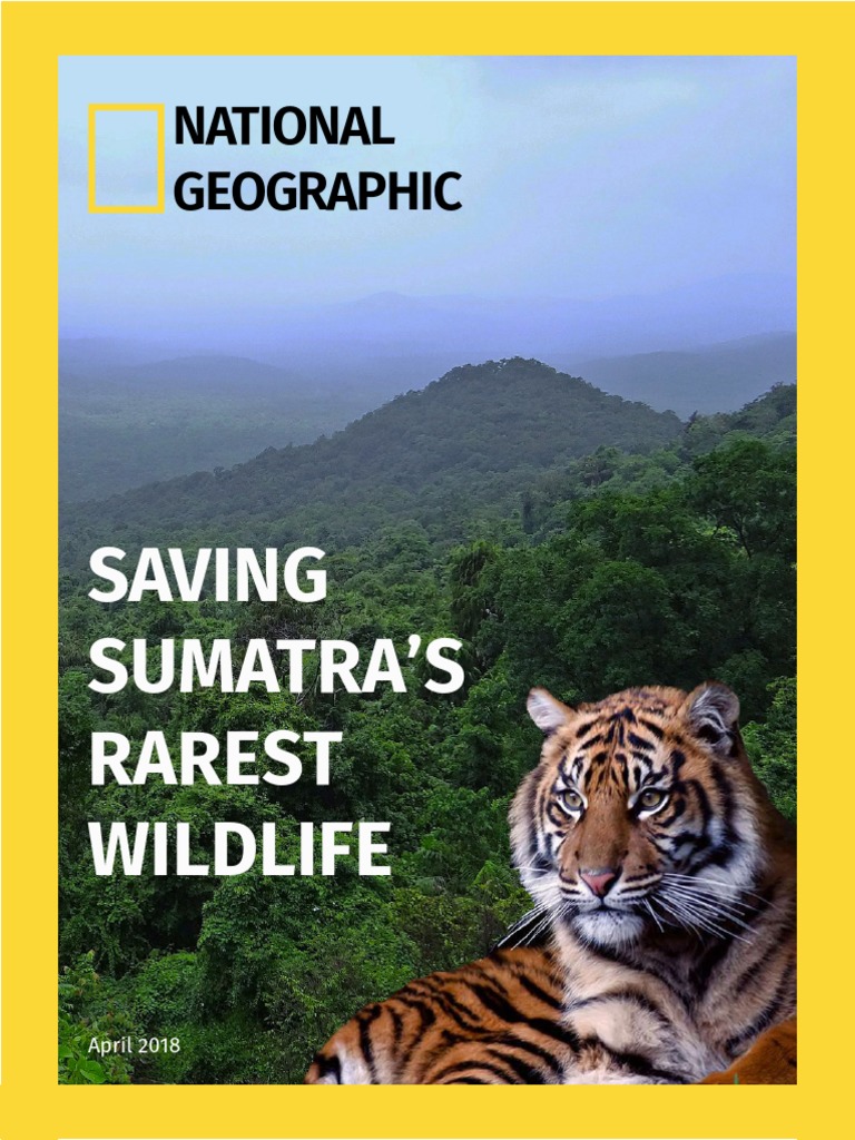 CleavengerSara MagazineSpread Final | PDF | Deforestation | Rainforest