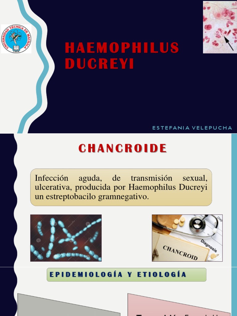 Haemophilus Ducreyi | PDF | VIH / SIDA | Anticuerpo