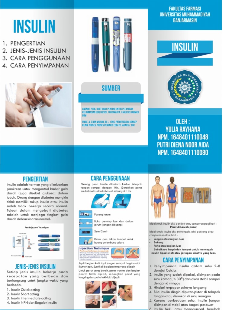 Leaflet Insulin | PDF