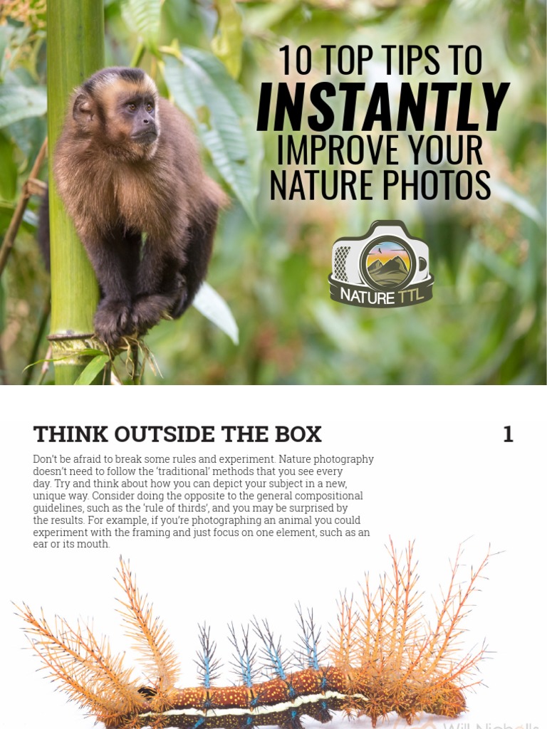 10 Top Tips To Instantly Improve Your Nature Photos 1 PDF | PDF | Raw ...