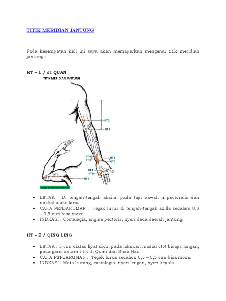 Titik Meridian Jantung dan Akupunktur | PDF