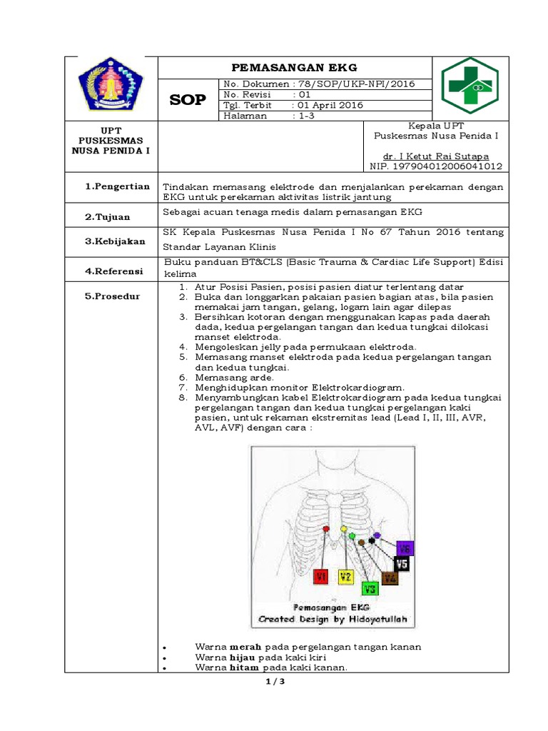 Pemasangan Ekg | PDF