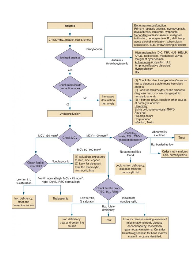 Algoritma Anemia | PDF