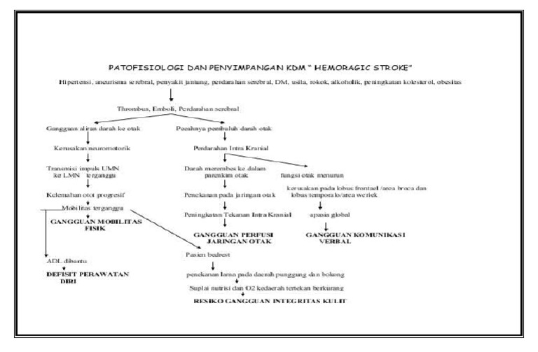 Algoritma Stroke | PDF