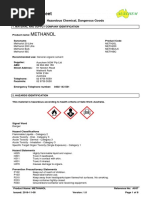 PSA Temporary Pass Application Form | PDF | Safety | Crime & Violence