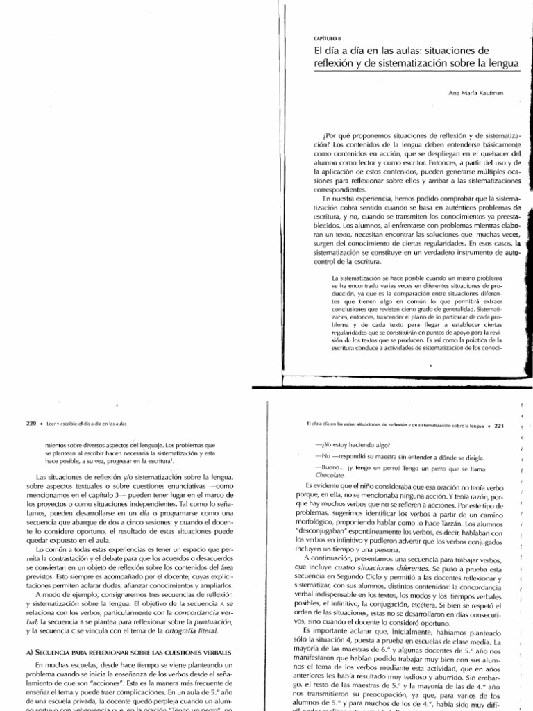 Kaufman - Situaciones de Reflexión y Sistematización PDF | PDF | Verbo ...