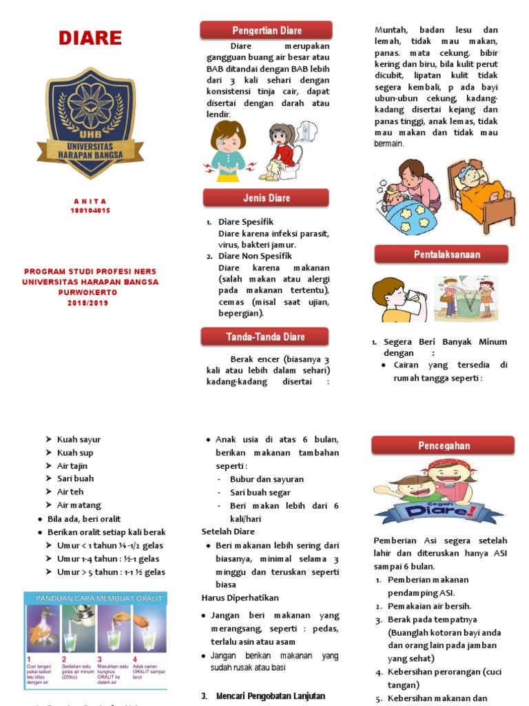 Leaflet DIARE | PDF
