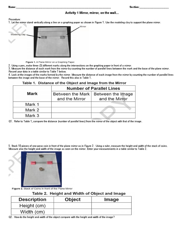 Activity 1 Mirror Mirror On The Wall | PDF