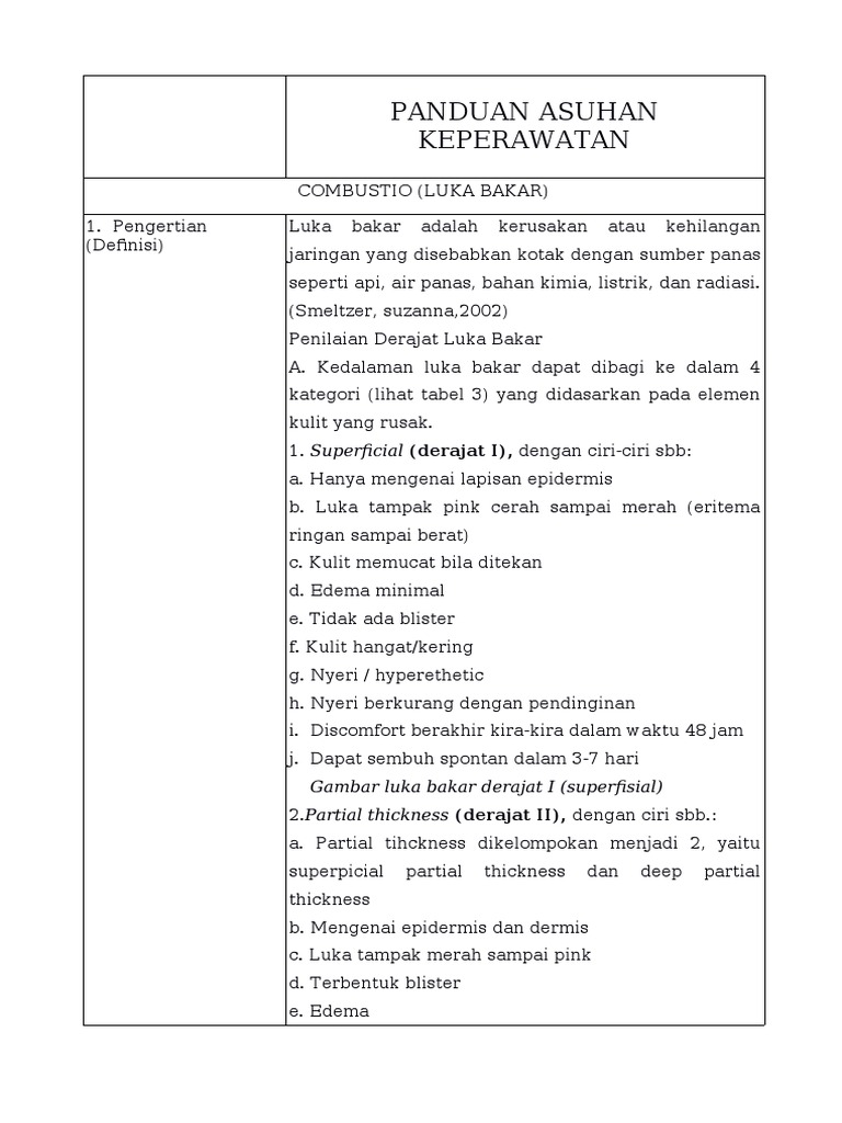 Combustio | PDF