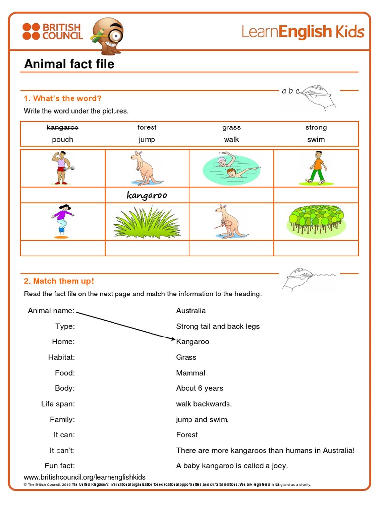 Writing Practice Animal Fact File Worksheet PDF | PDF | Organisms | Nature