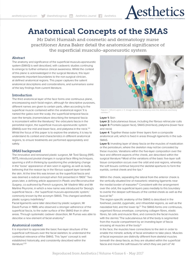 Anatomical Concepts of The SMAS. | PDF | Anatomy | Plastic Surgery