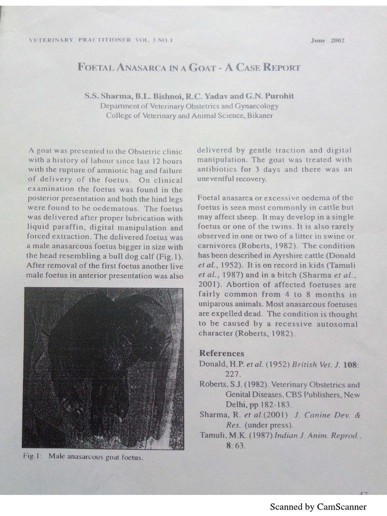 Anasarca Goat | PDF